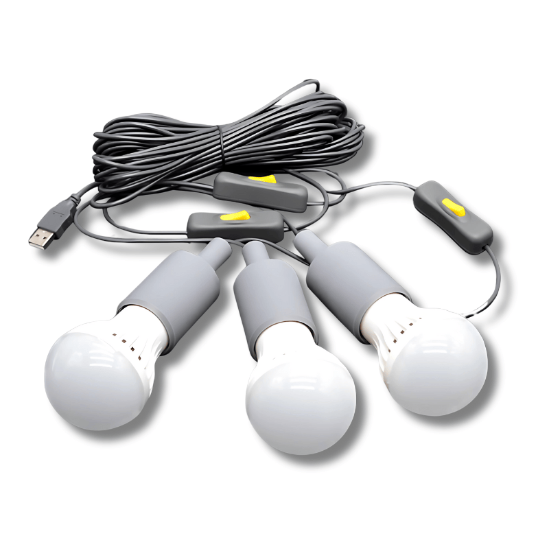 Lion Energy 3 LED Light Bulb String for Bright Illumination